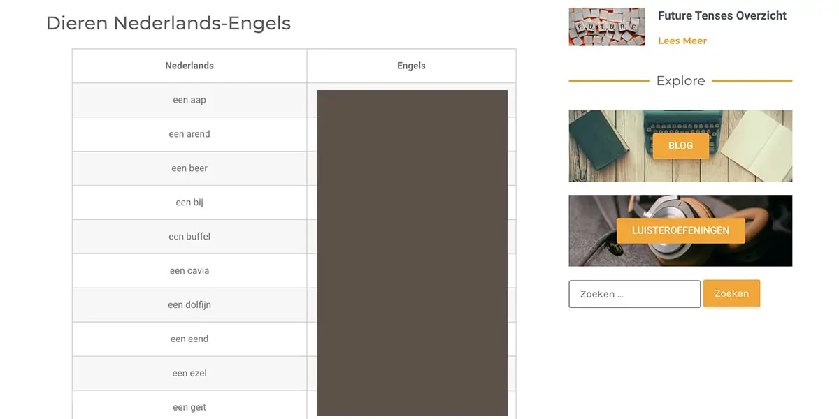Hoe Engelse Woordjes Leren – Taalhulp Engels